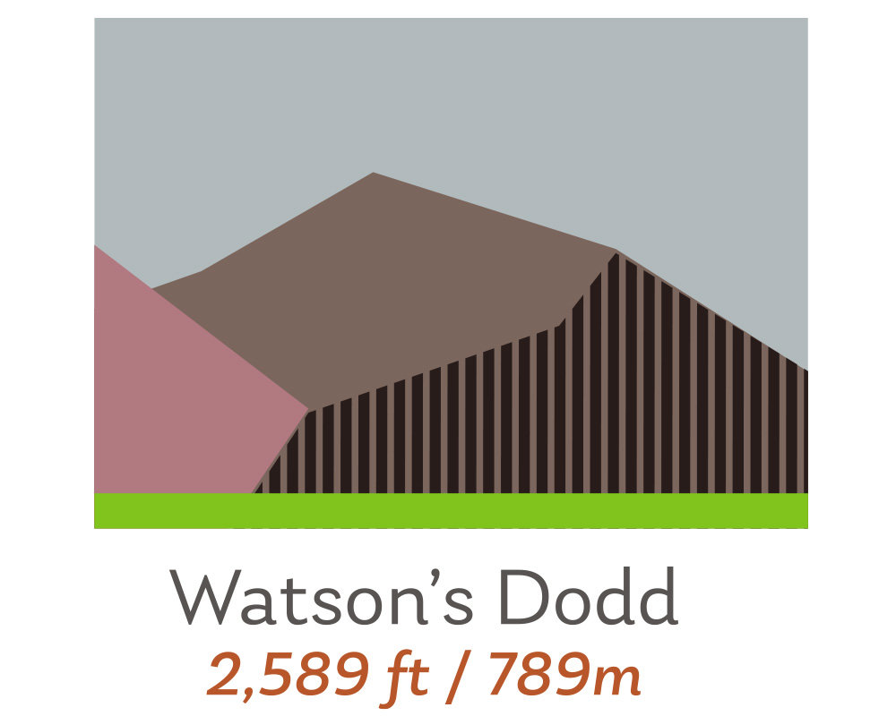 Watson's Dodd
