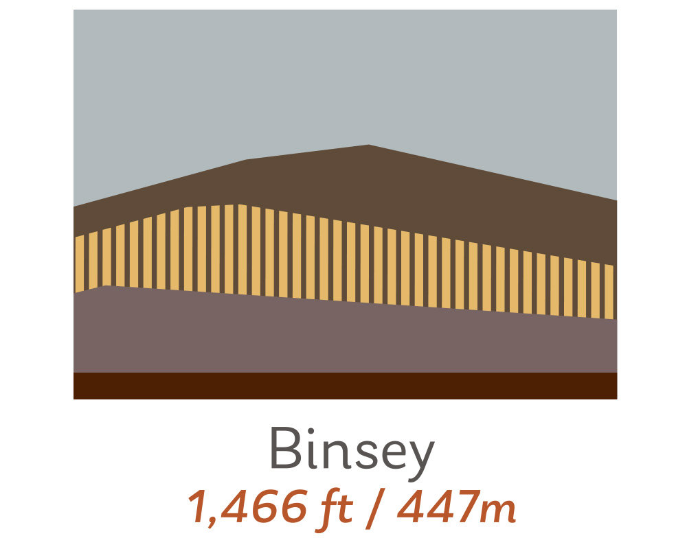 Binsey