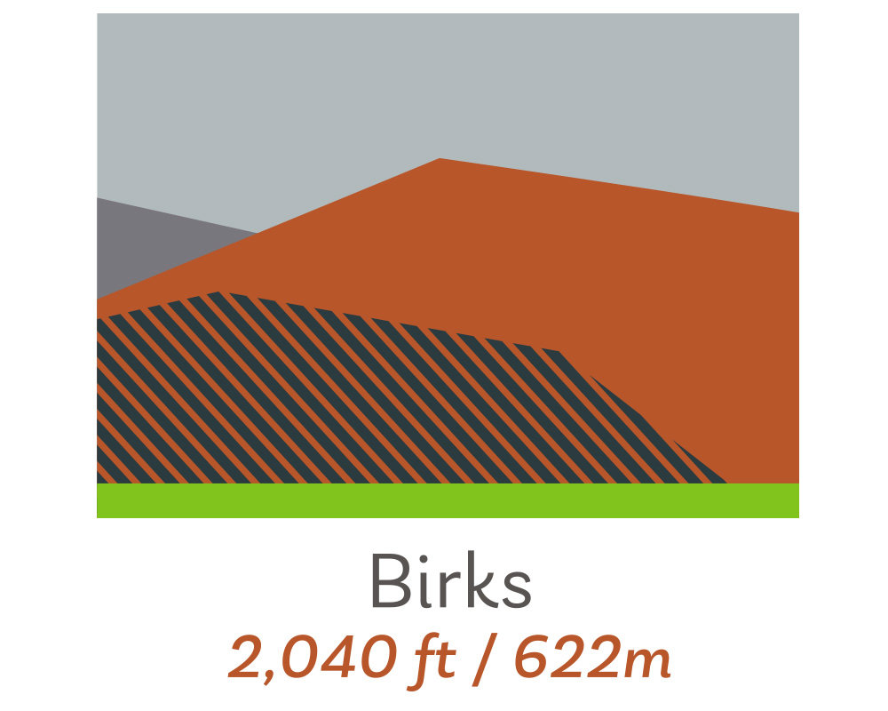 Birks
