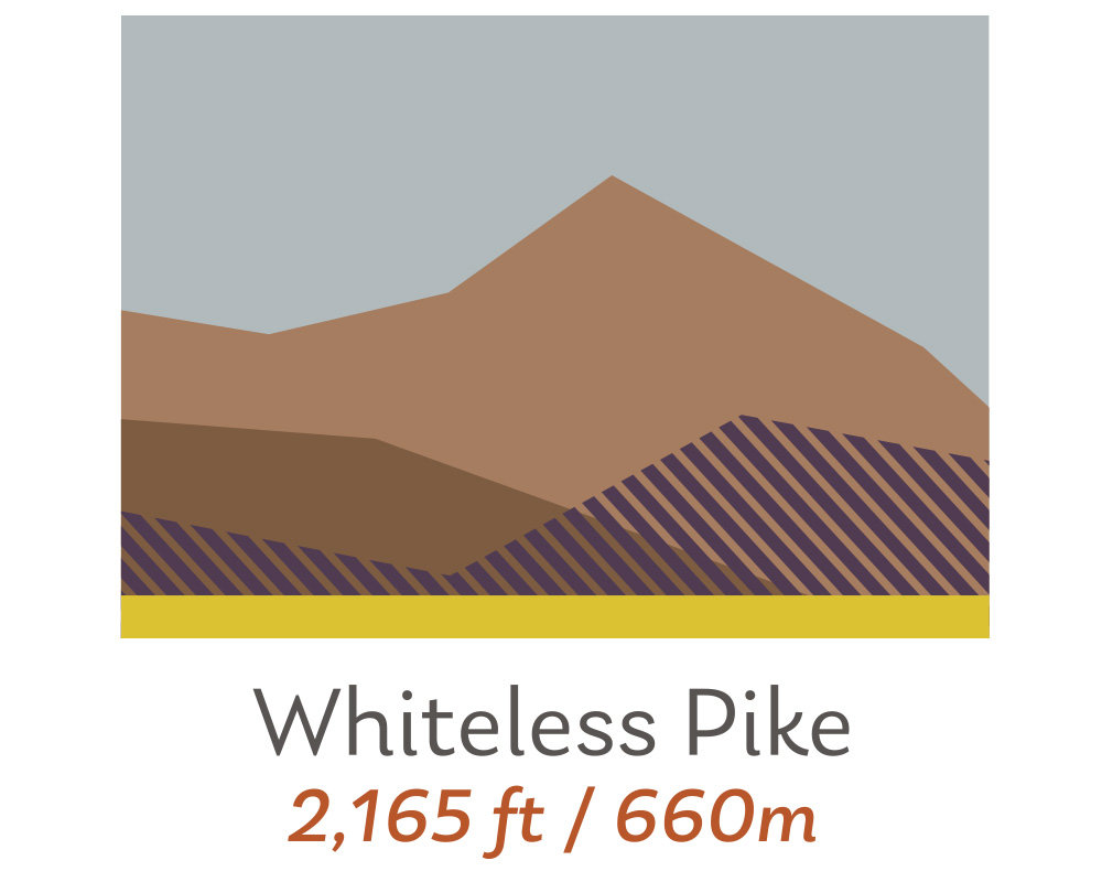 Whiteless Pike