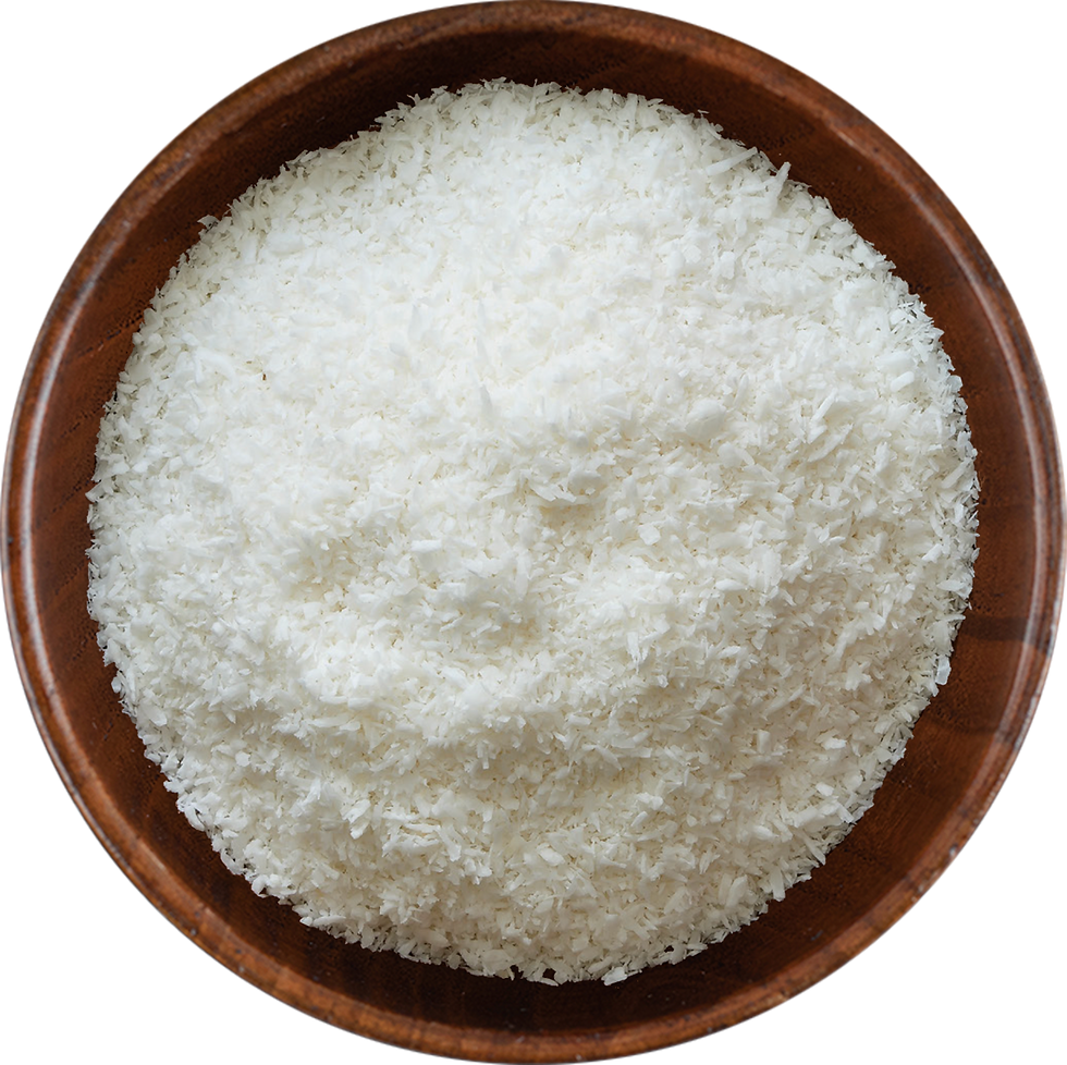 DEWACOCO | Integrated Coconut Processing Plant