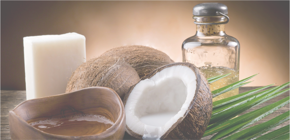 Integrated Coconut Processing Plant: A Zero Waste Industry