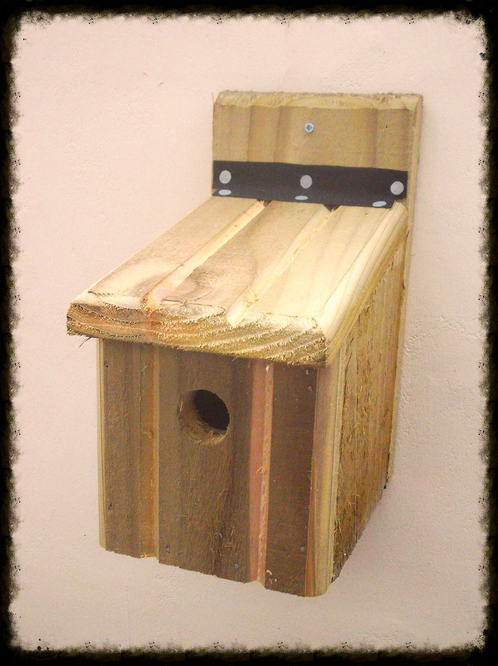 Basic Bird Box Natural Finish Henrysbirdboxes basic-bird-box-natural-finish-henrysbirdboxes