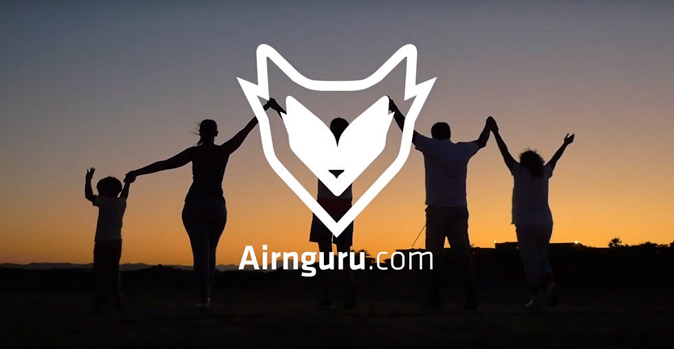 Pricing Intelligence | Airnguru