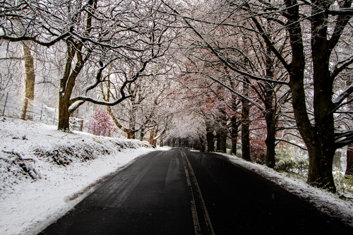 Winter Wonderland - Mount Wilson, NSW | the-drone-guy