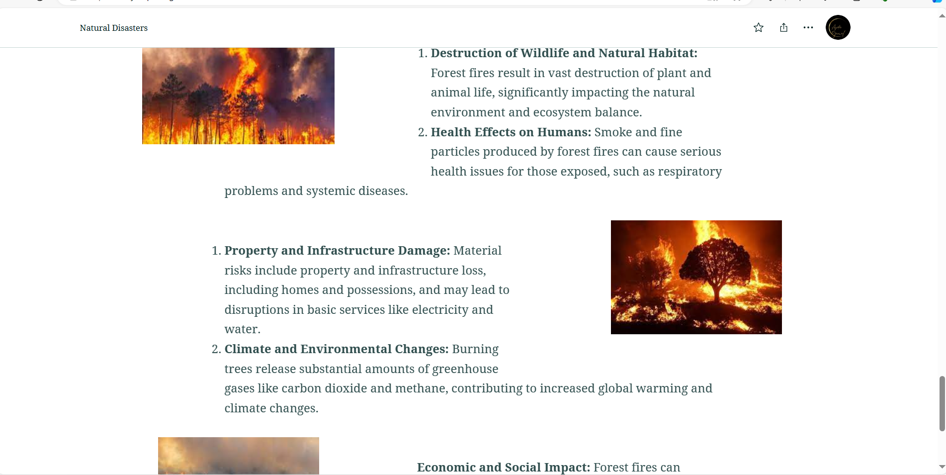 Story map about Natural Disasters | Ayda_gamal