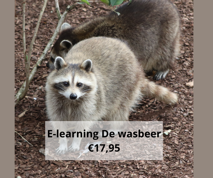 Online programma's | The Animal Uni