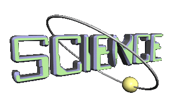 ACTIVITIES | BEACHCOMBER CAMPING RESORT