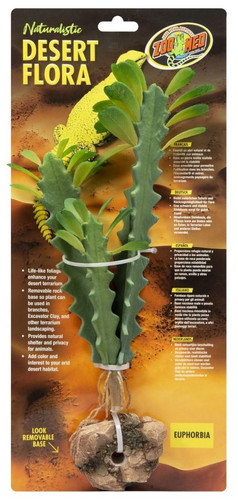 Zoo Med Euphorbia Desert Flora Terrarium Plant | T-Rex Pet Shop