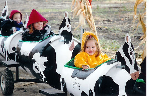 Corn Maize | Sherman Farm