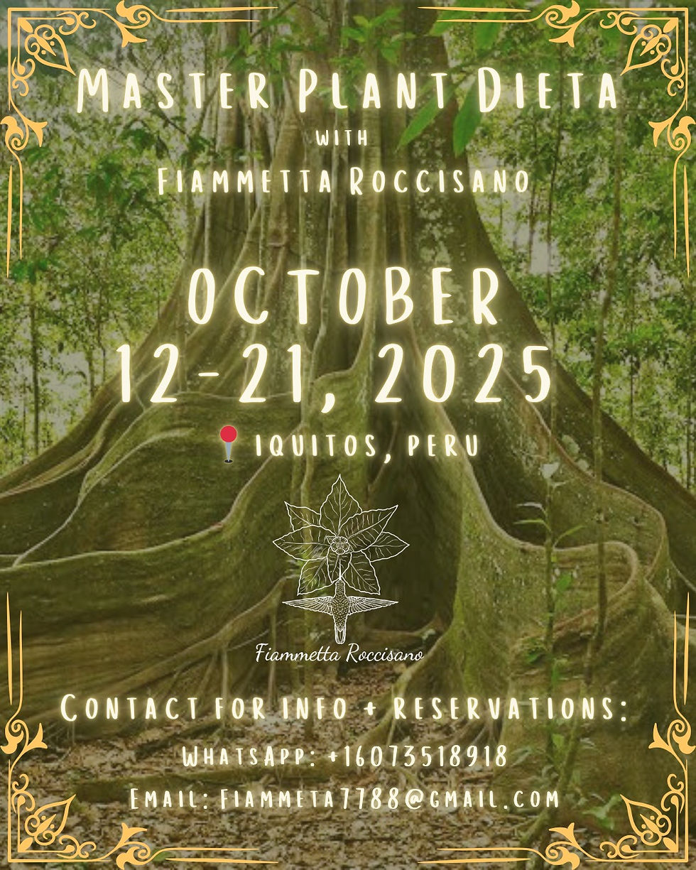 Master Plant Dietas | Fiammetta Roccisano