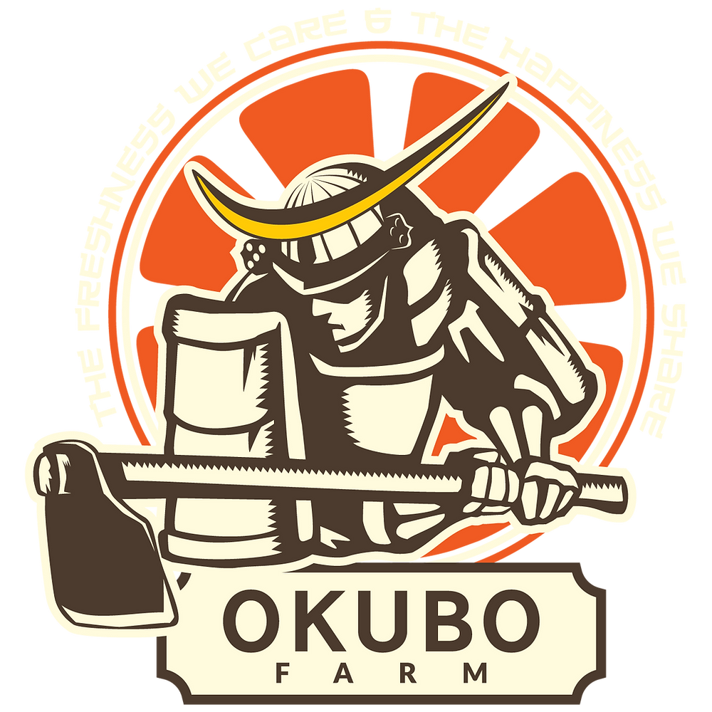 OKB Mikan New LOGO released.