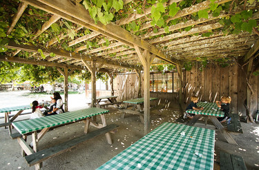 ACTIVITIES | Avila Valley Barn