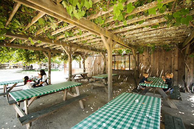 ACTIVITIES | Avila Valley Barn