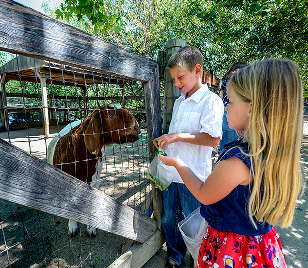 ACTIVITIES | Avila Valley Barn