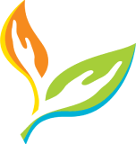 Training Guide for Coral Reef Restoration (2020) 24 | Marine Resources ...