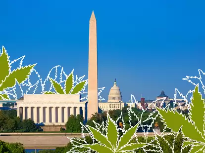 HighTides Journal | Cannabis & Mushroom Friendly Newspaper ...