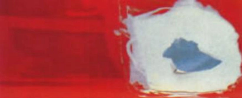 Polyester Putty Adhesion Loss