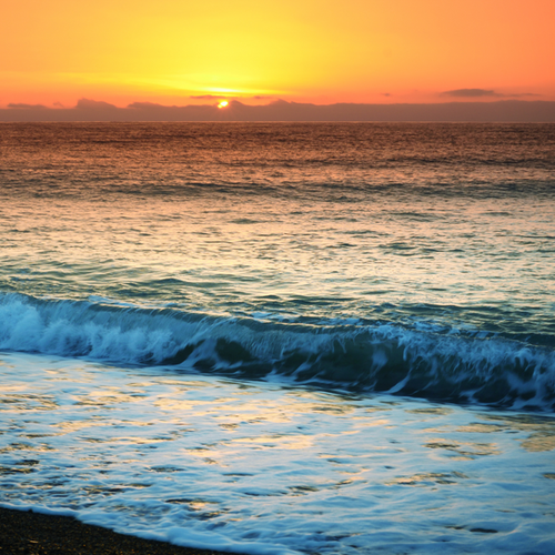 Geopathy Stressors | NAET Shop