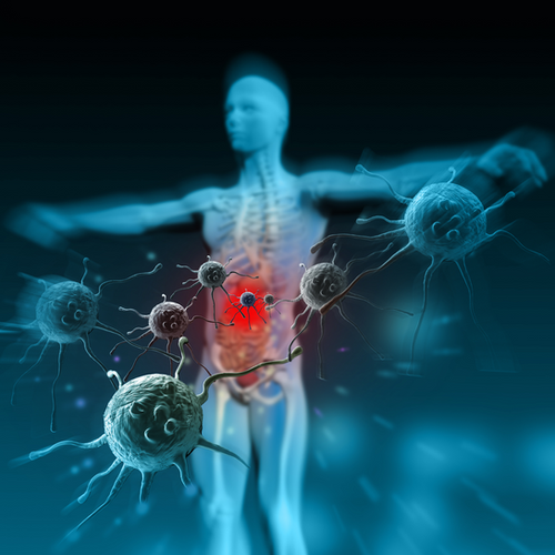 Diseases Nosodes Minikit | NAET Shop