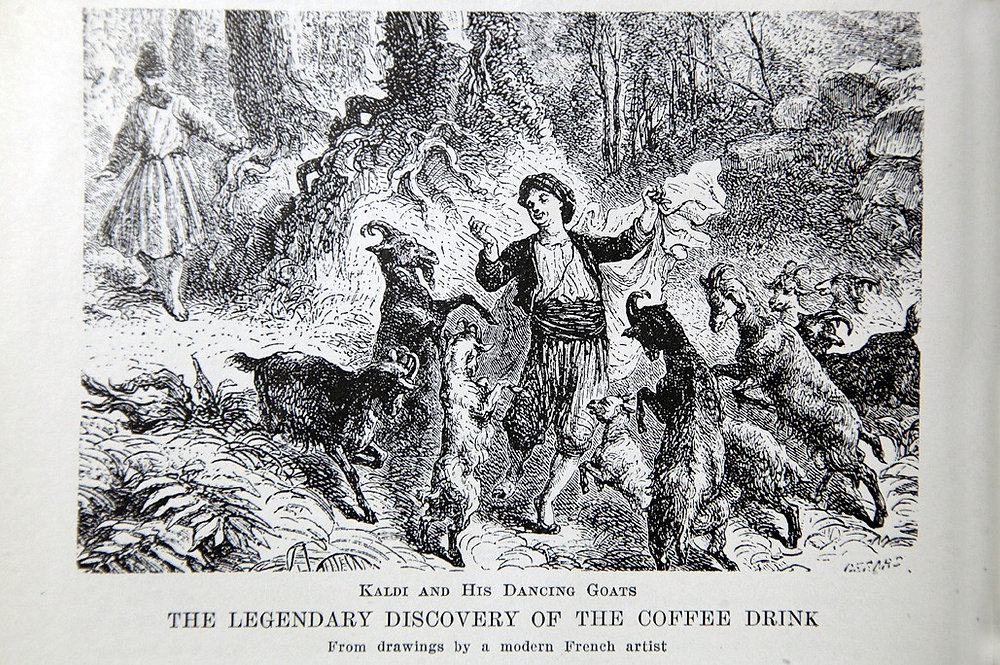 A origem do café - Lenda de Kaldi