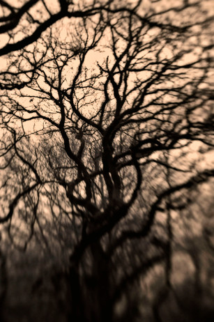 Infrared photography | Peter Kyte | London