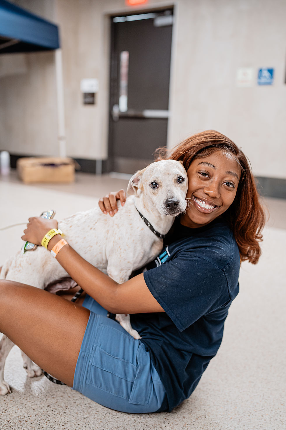 HSNT | Animal Shelter in Fort Worth