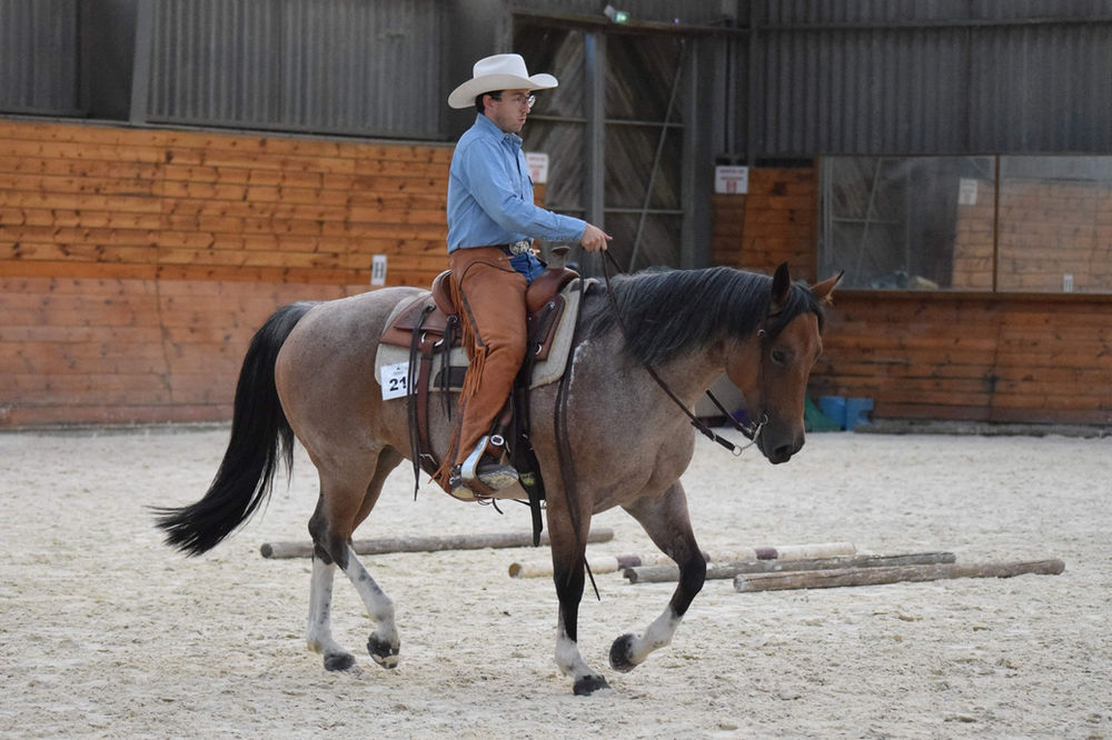 2020 : UN PREMIER CONCOURS WESTERN FFE EN HAUTE-LOIRE