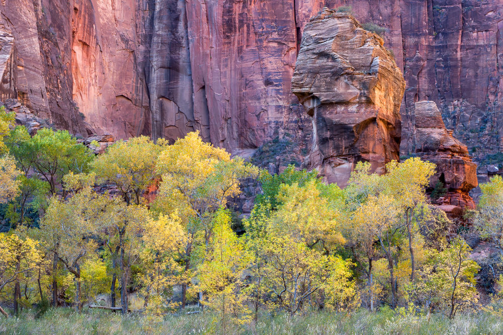 Visiting Capitol Reef in the Fall