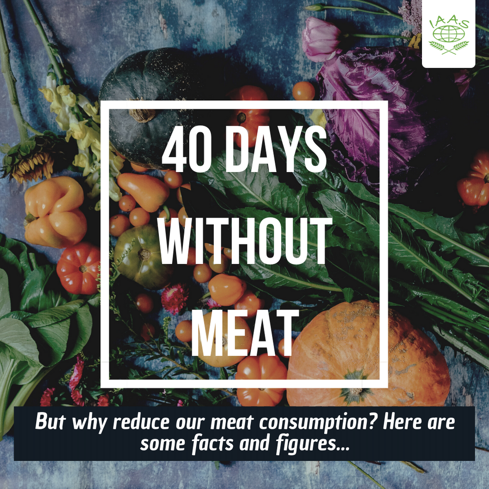40 Days Without Meat