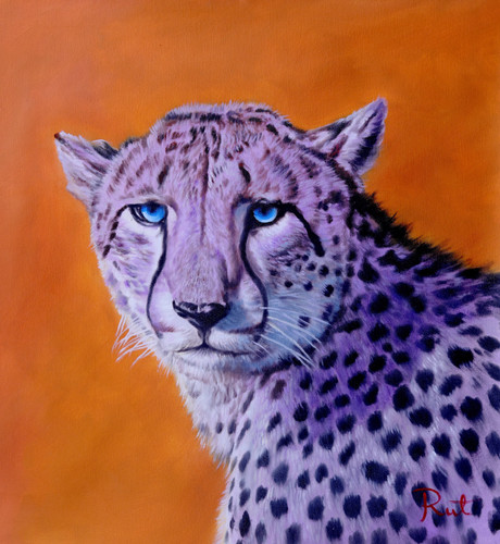 CHEETAH | tomaszrutstudio