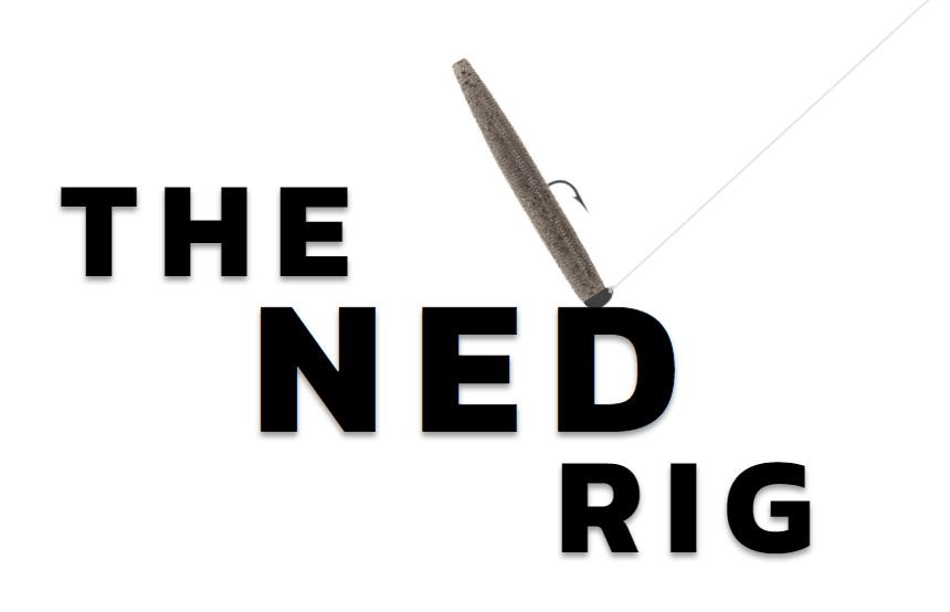 What Is A Ned Rig? - Rip Lips Tips