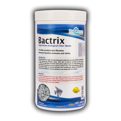 Reocean Bactrix | Reocean