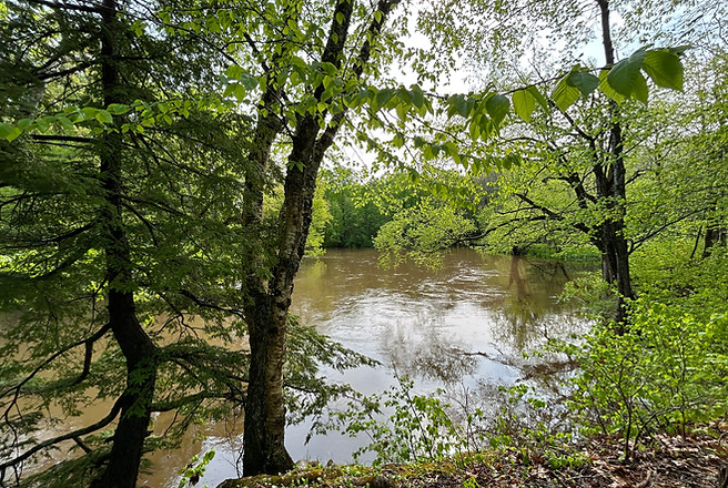 Sebasticook Regional Land Trust | Community Lands and Trails