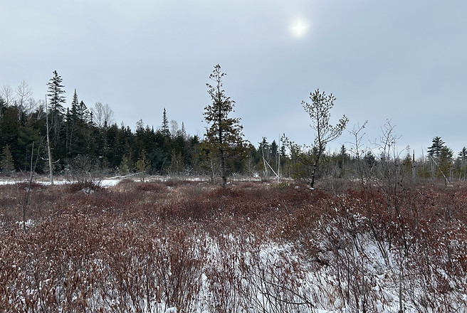 Sebasticook Regional Land Trust | Community Lands and Trails