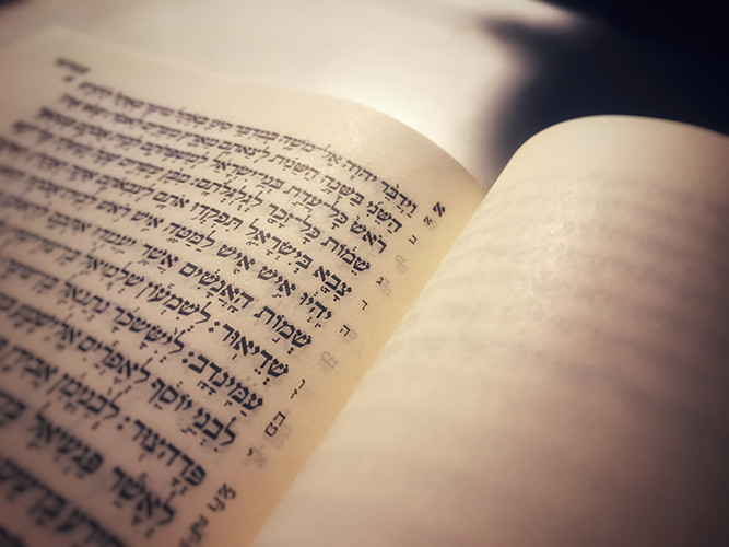 Rabbi Dalia Marx | הרבה דליה מרקס | פרשת השבוע | ספר במדבר