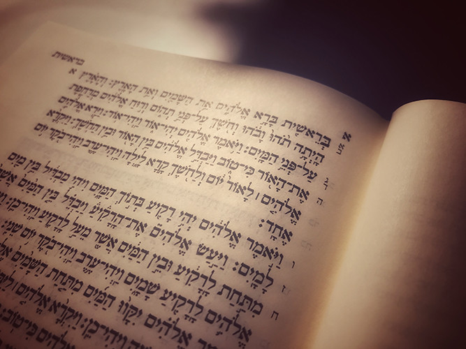 Rabbi Dalia Marx | הרבה דליה מרקס | פרשת השבוע | בראשית