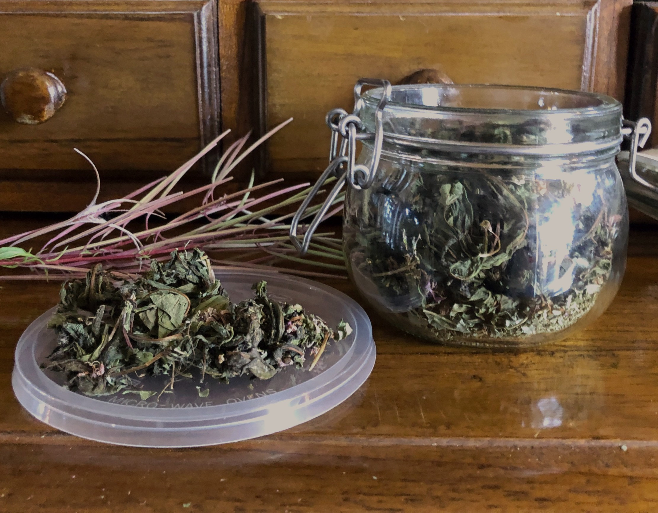 Ivan Chai | The Herbal Forager