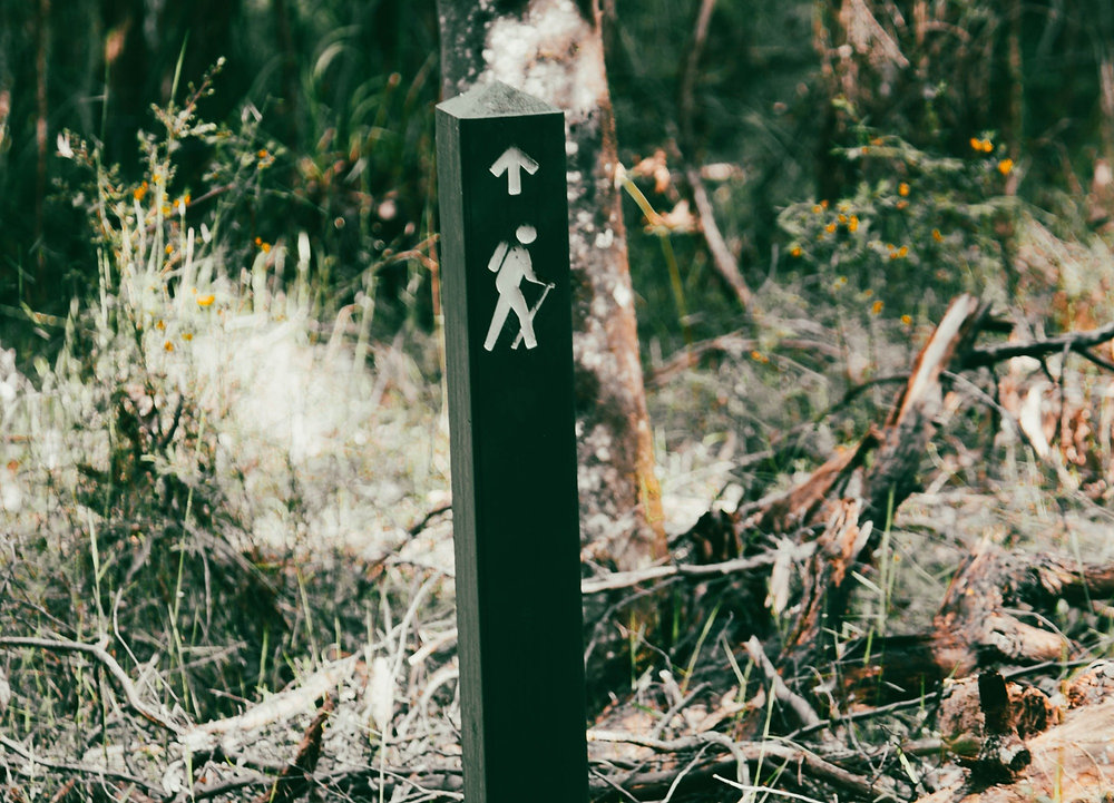 Australia's Longest Hike: Trekking The Bicentennial National Trail