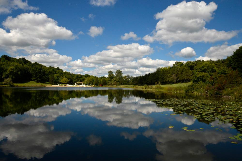 IMAGE GALLERY | Dainava