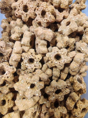 Star Crunchie Cookies | Dog Bones Direct