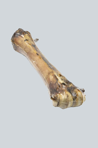 Meaty Buffalo Bones | Dog Bones Direct