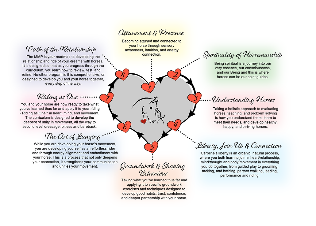 The TOHA Holistic Horsemanship Training System | Tao of Horsemanship