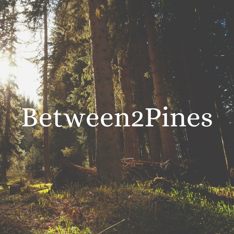 FAMILY CAMPING TIPS | Between 2 Pines Magazine