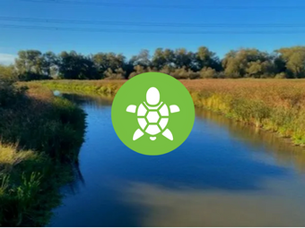 Our Conservation Areas | CLOCA | Central Lake Ontario Conservation ...