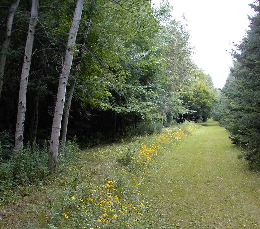 Giving Back | CLOCA | Central Lake Ontario Conservation Authority