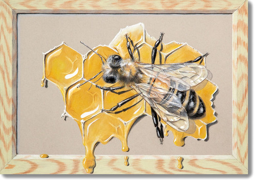 Nigel | Gavin Taylor Art