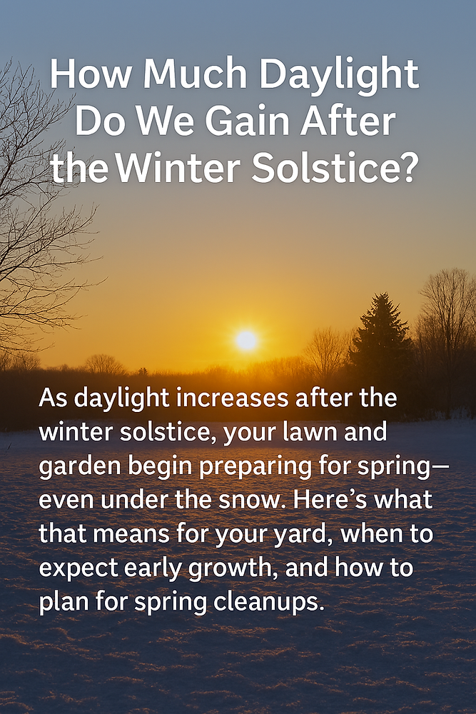 🌞 How Much Daylight Do We Actually Gain?🌤️
