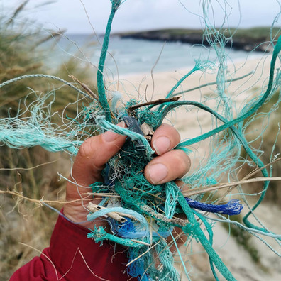 Marine Conservation Projects UK | Sea-Changers