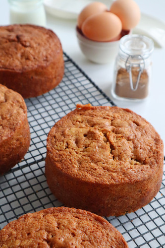 Carrot Cake Recipe | Chemily's Cakes